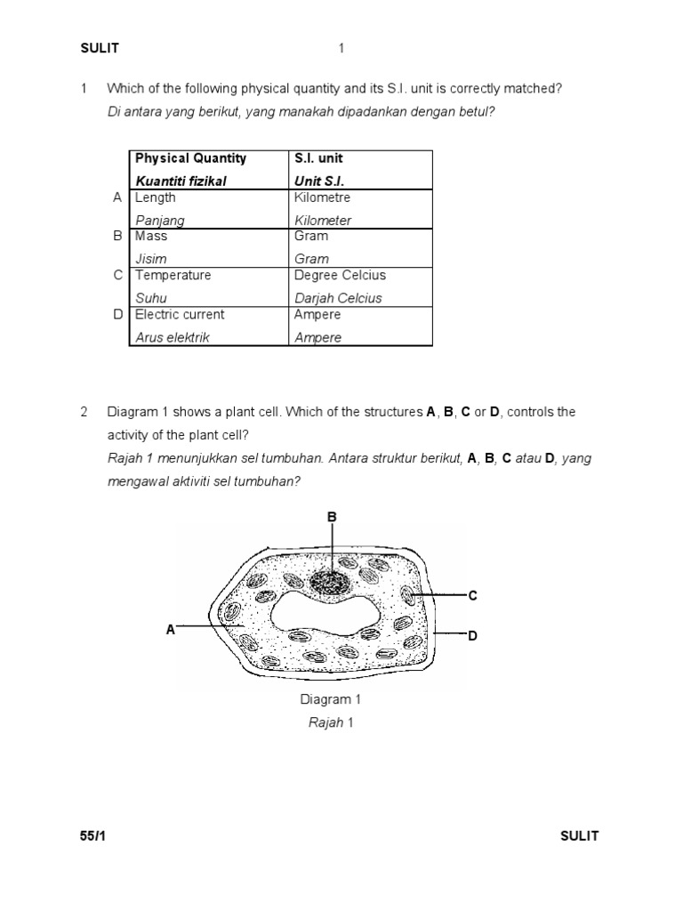 S.I. Units and Plant Cell Functions | PDF | Teaching Methods & Materials
