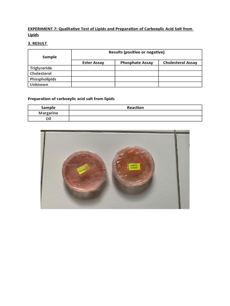BIO462 EXPERIMENT 7 Lab Report | PDF