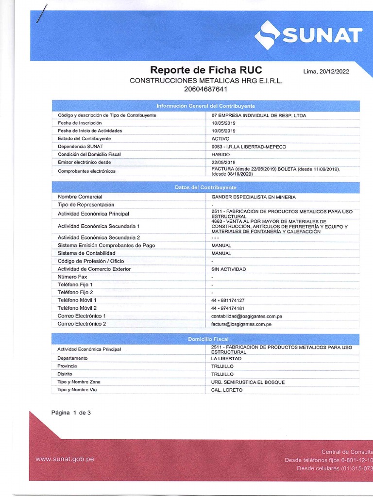 Ficha Ruc Deudor | PDF