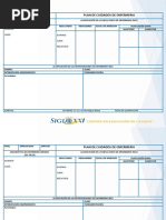 Nuevo Formato Del Pae 2024 Nanda, Noc y Nic | PDF
