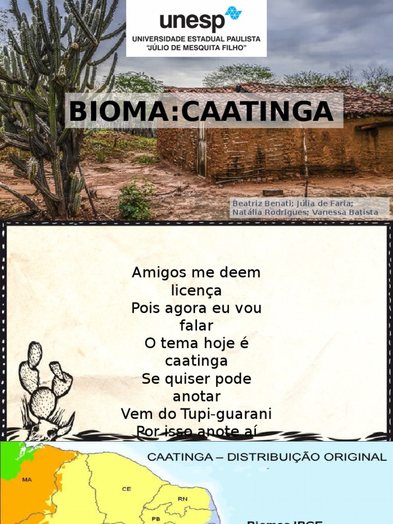 Educageo 2019 Aula Caatinga | PDF