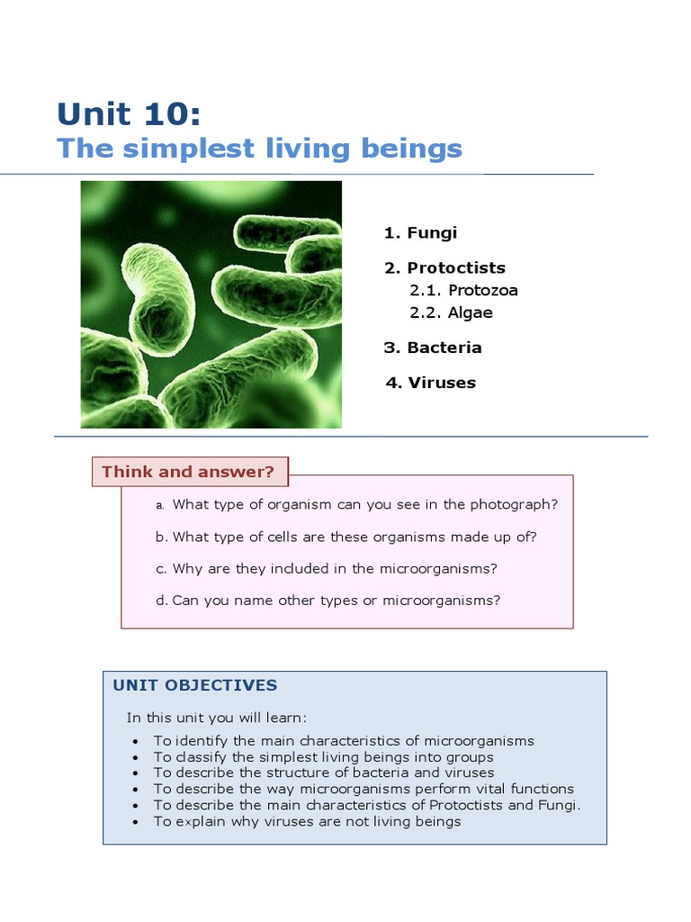 Types Of Microorganisms With Names