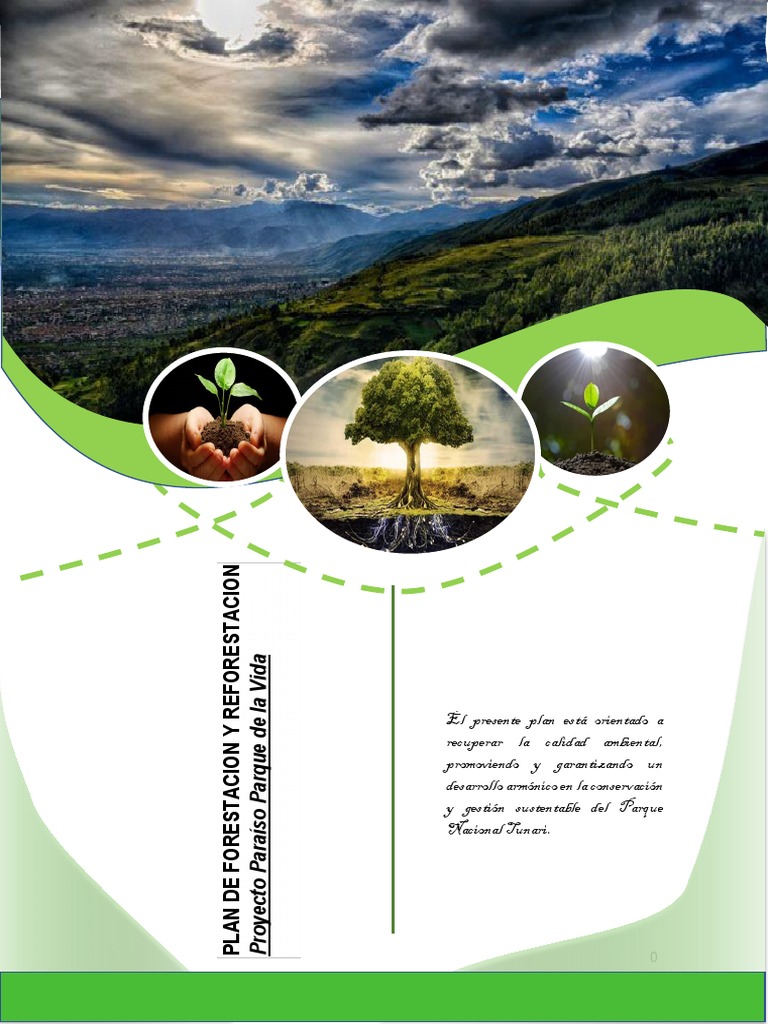 Plan Forestal Proyecto Paraiso | PDF | Entorno natural | Los bosques