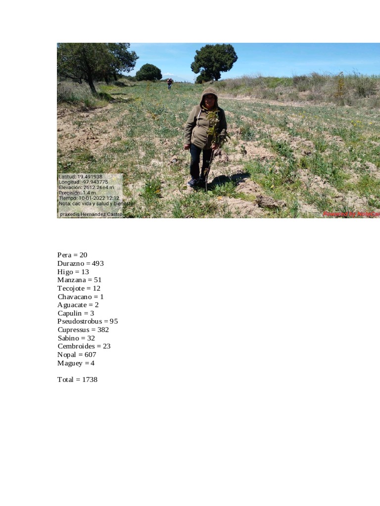 Libro de Posadas | PDF