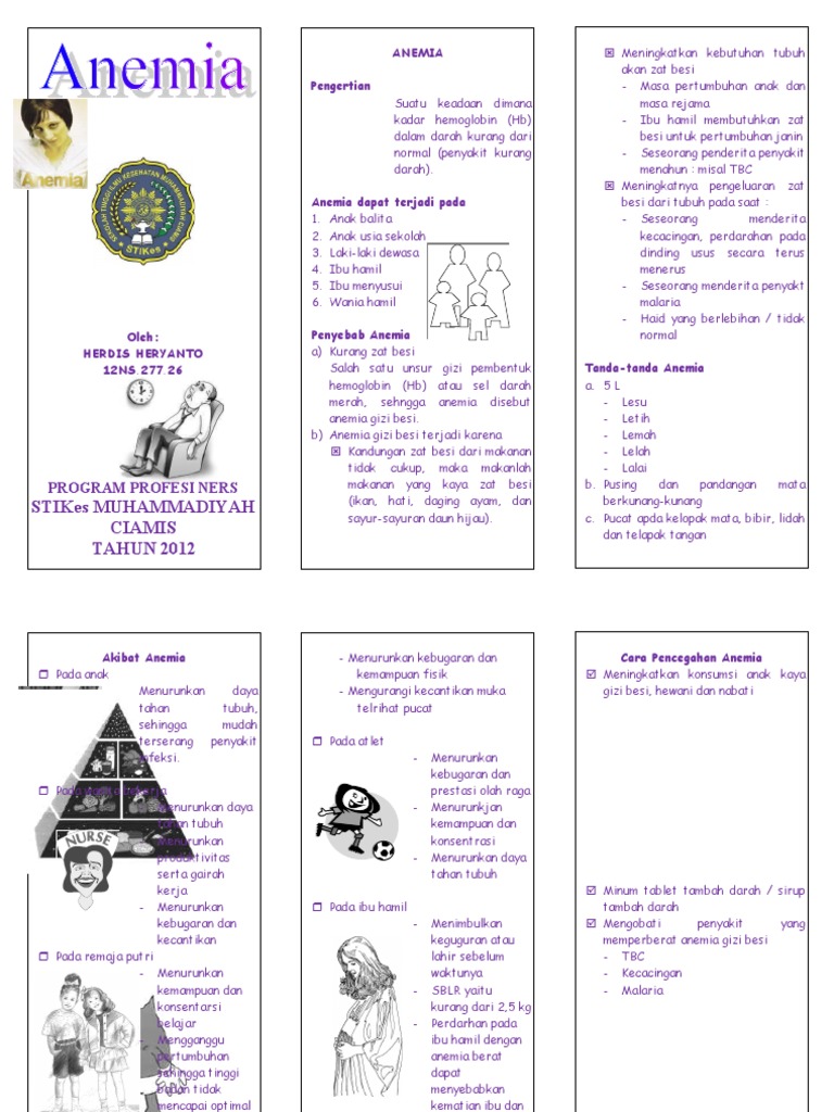 Leaflet Anemia | PDF