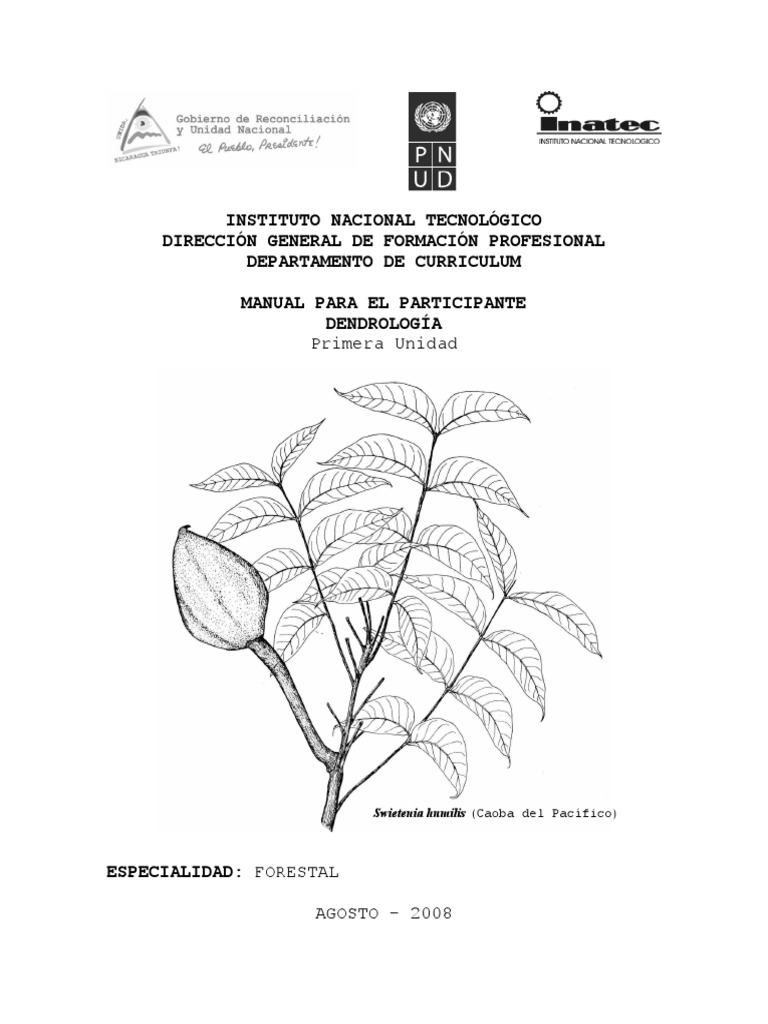 Manual de Dendrologia 2008 Unidad I | PDF | Fruta | Tallo de la planta