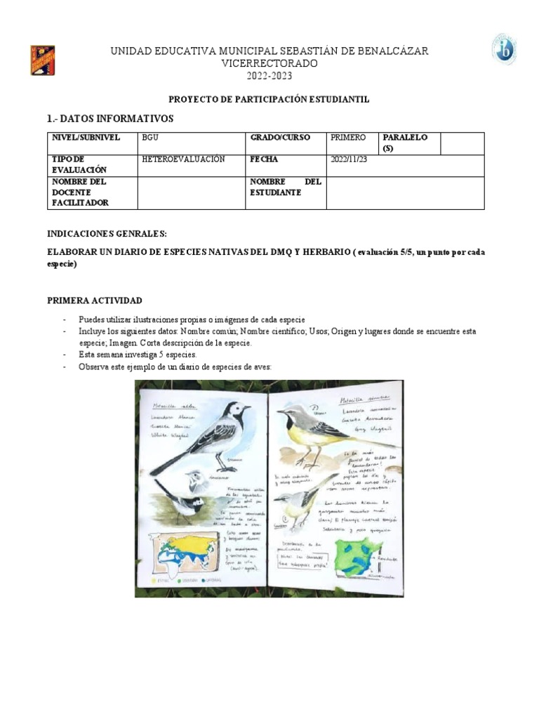 Ejemplo de Diario de Especies y Herbario | PDF | Plantas | Botánica