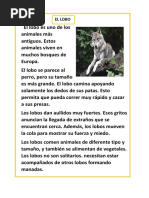 Anexo Lobos | PDF | Piel | Zoología