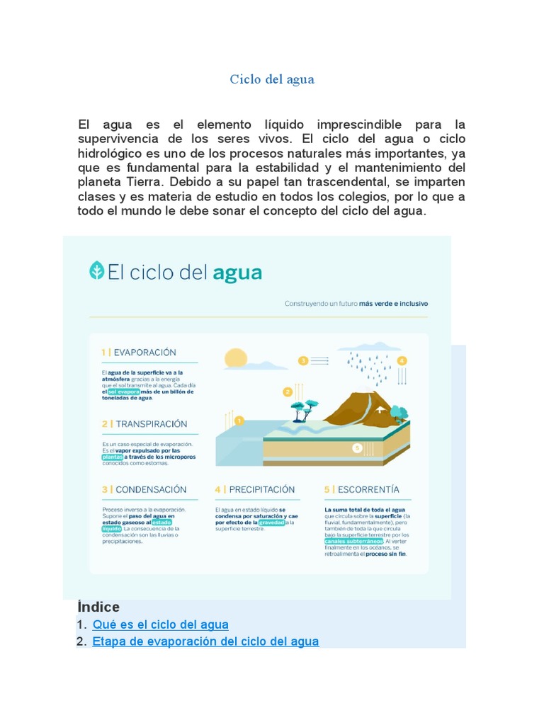 Ciclo Del Agua | PDF | El ciclo del agua | Agua