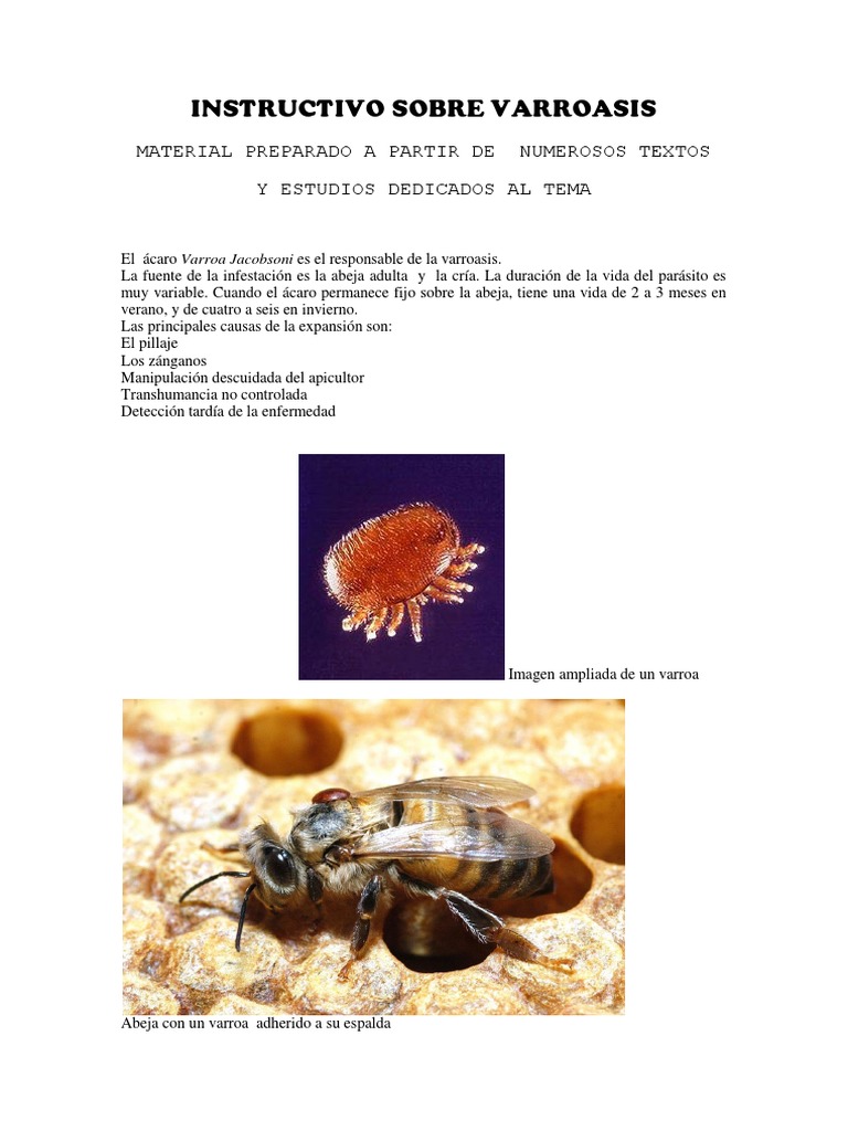 Guía Completa sobre Varroasis en Abejas | PDF | Abejas