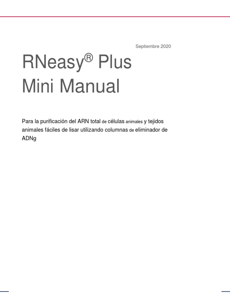 RNY Plus Mini | PDF | Rna | Adn