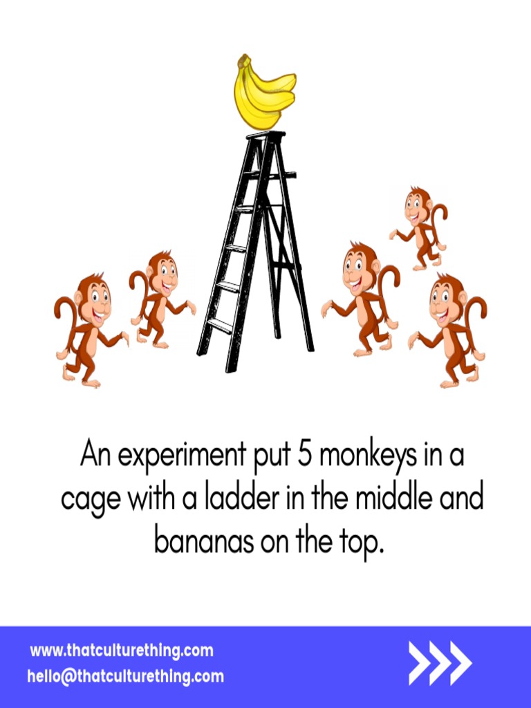 5 Monkeys Experiment | Download Free PDF | Creativity | Psychology