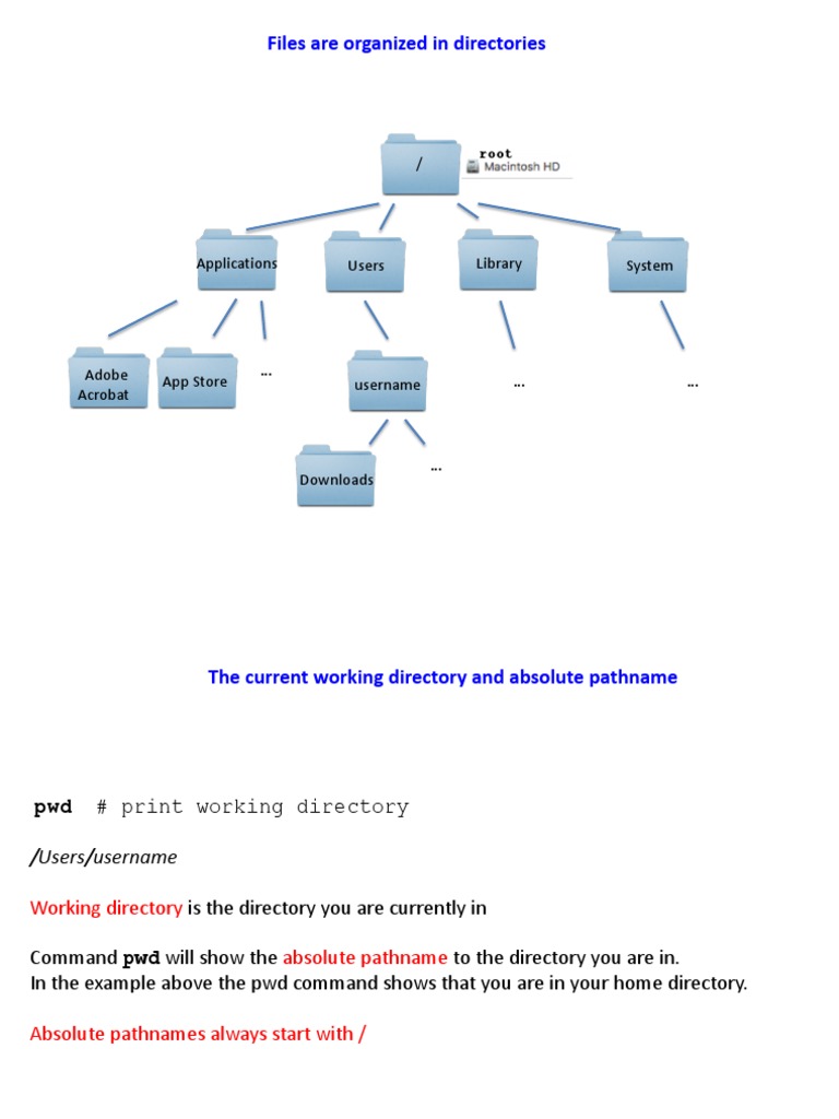 Lecture 3 Part1 | PDF | User (Computing) | Directory (Computing)