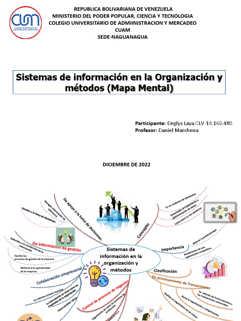 Mapa Mental Sistemas de Informacion | PDF | Informática