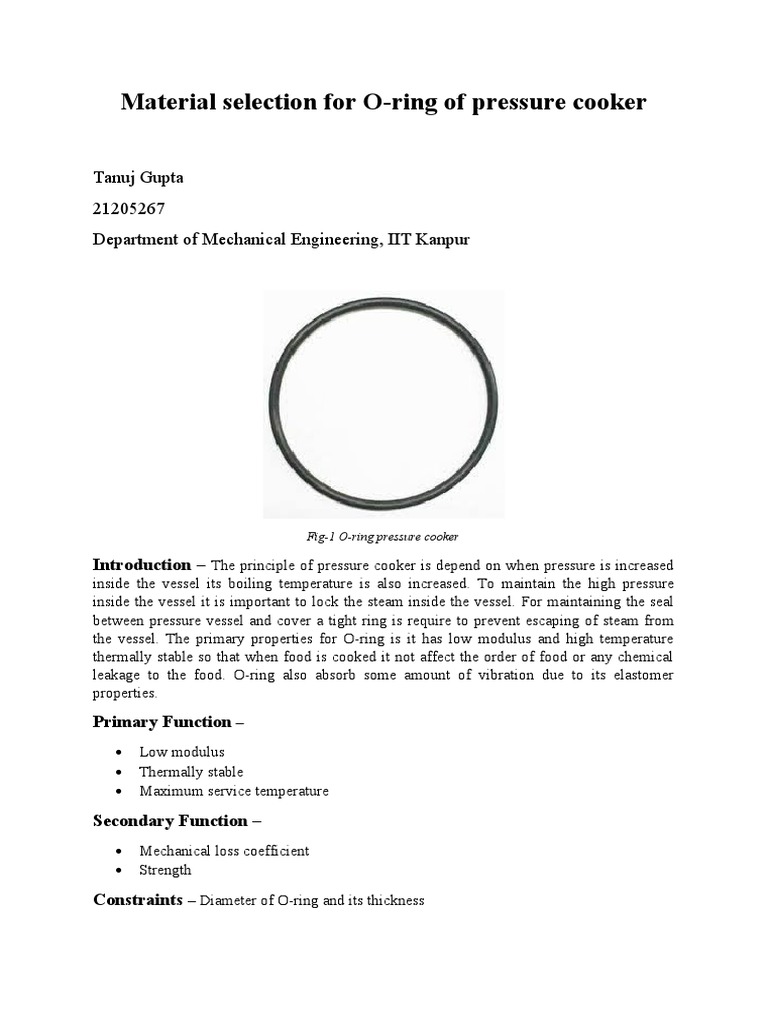 O Ring | PDF | Young's Modulus | Strength Of Materials