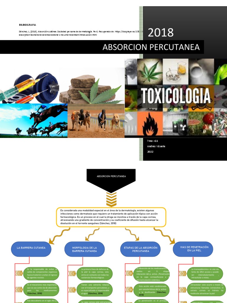 Etapas y Mecanismos de Absorción Cutánea | PDF | Medicamentos con ...