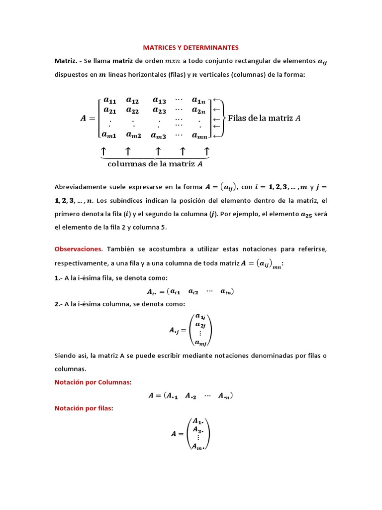 1° Matrices y Determinantes | PDF | Matriz (Matemáticas) | Determinante