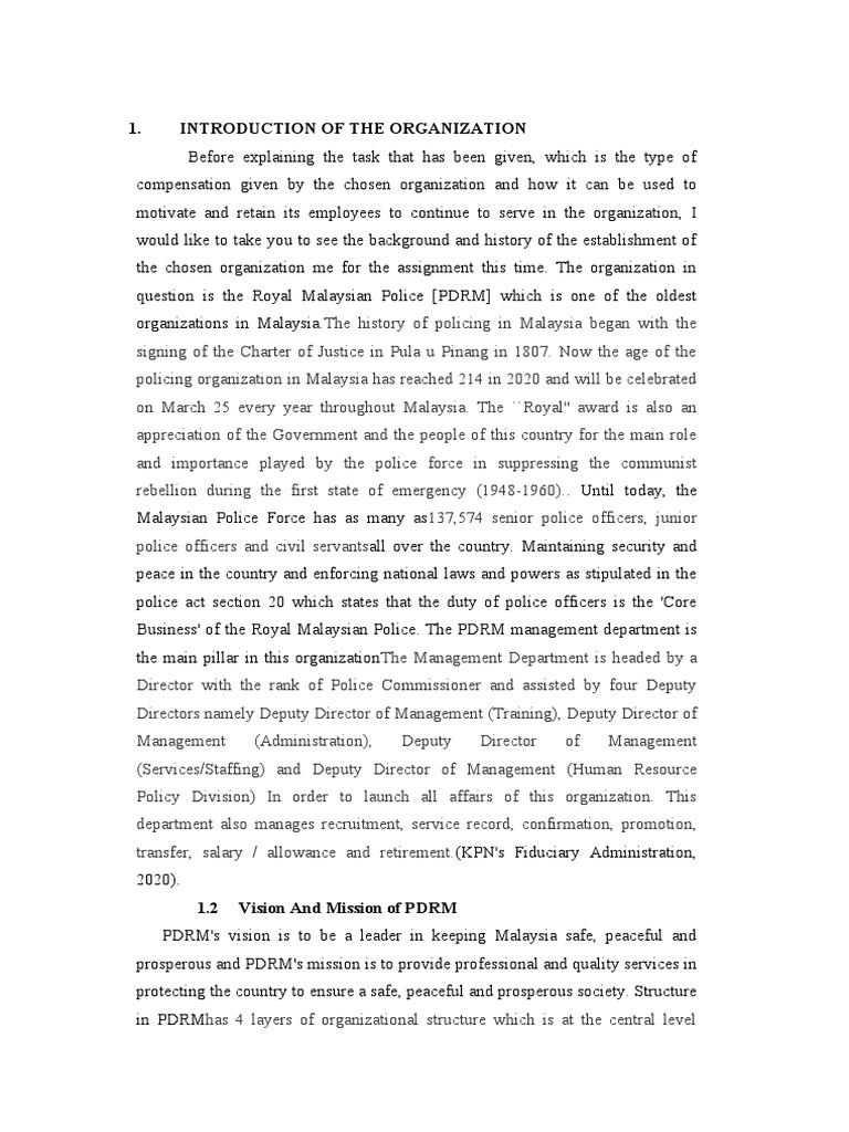 Introduction of The Organization | PDF | Incentive | Welfare