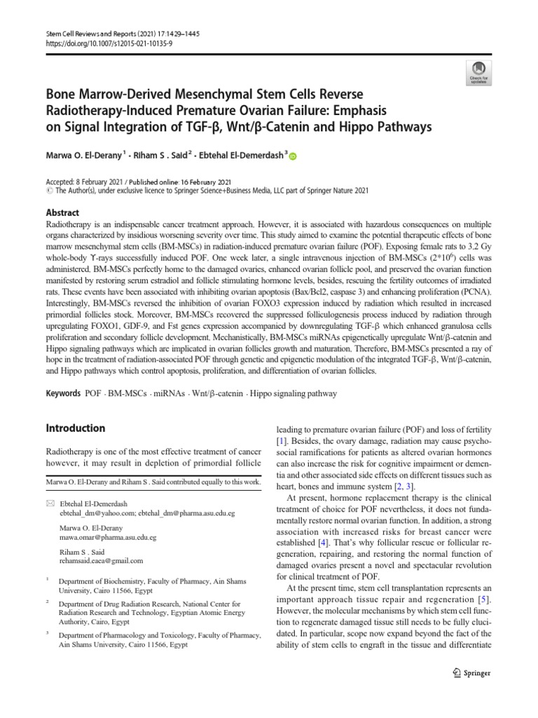 Bone Marrow-Derived Mesenchymal Stem Cells Reverse Radiotherapy-Induced ...
