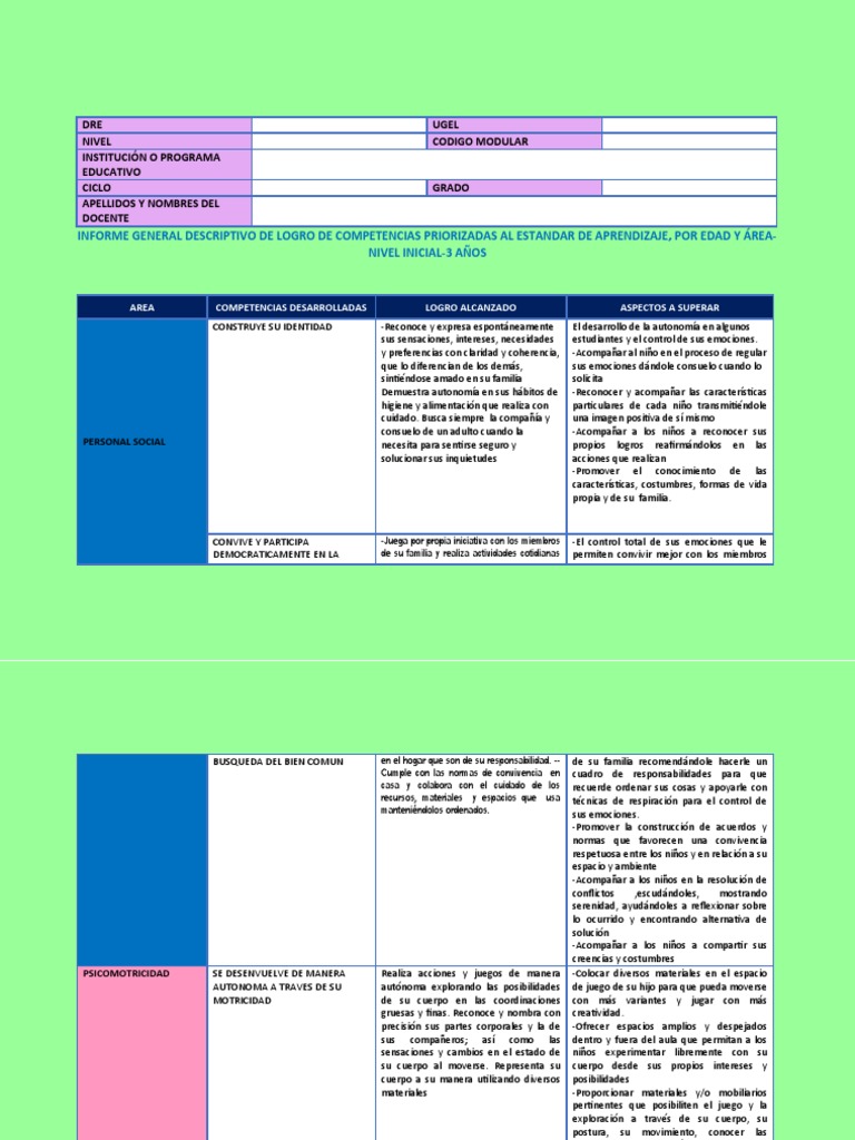 Informe General Descriptivo de Logro de Competencias Priorizadas Al Estandar de Aprendizaje, Por ...