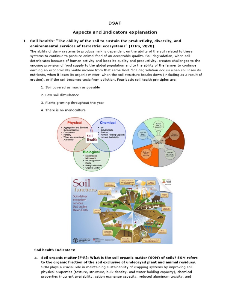 DSAT Manual Aspects and Indicators Explanation 14032022 | PDF | Soil ...