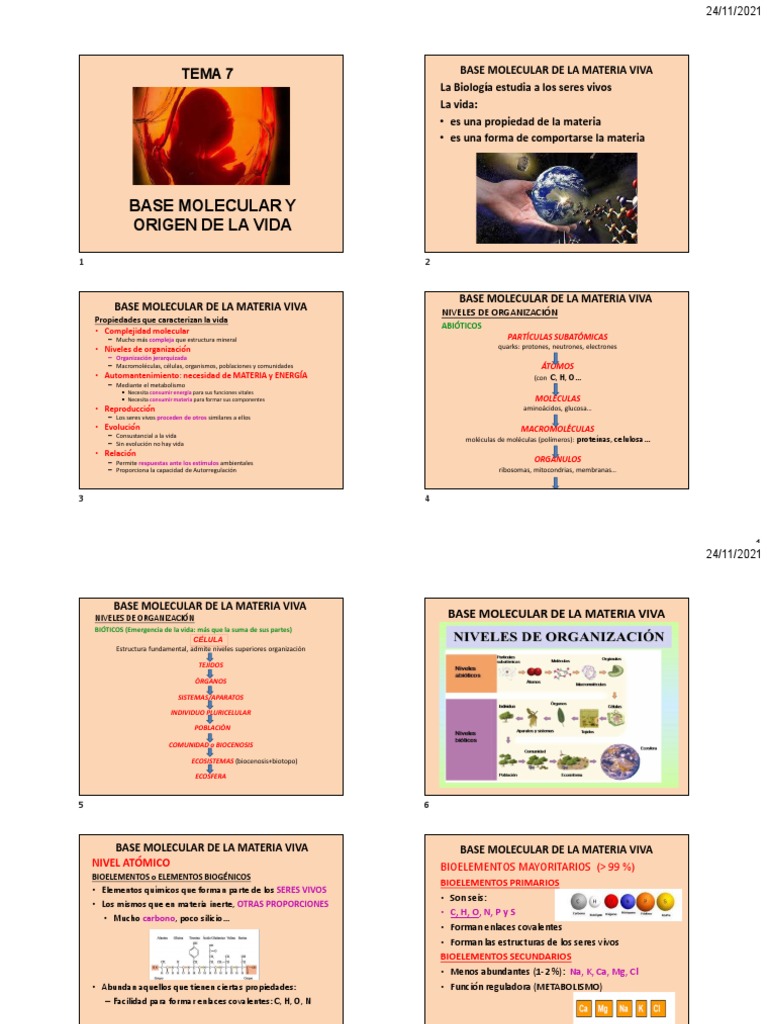 Presentación Base Molecular de La Vida | PDF | Propiedades del agua | Biomoléculas