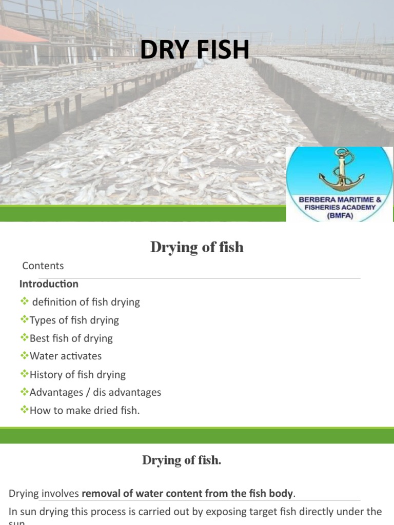 Fish Drying Methods and Benefits | PDF | Water | Nutrition