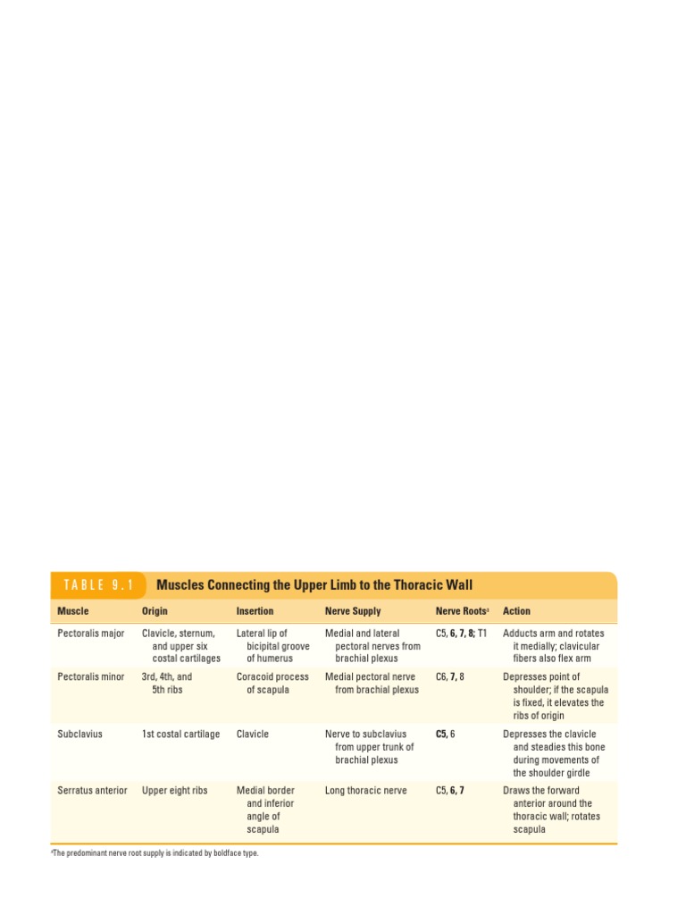 Snell Muscle Tables | PDF | Thumb | Hand