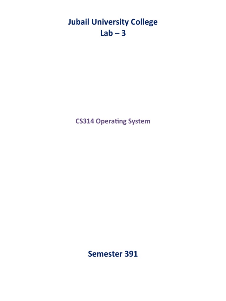 CS314 Lab3 Solution | PDF | Muhammad | Life Of Muhammad