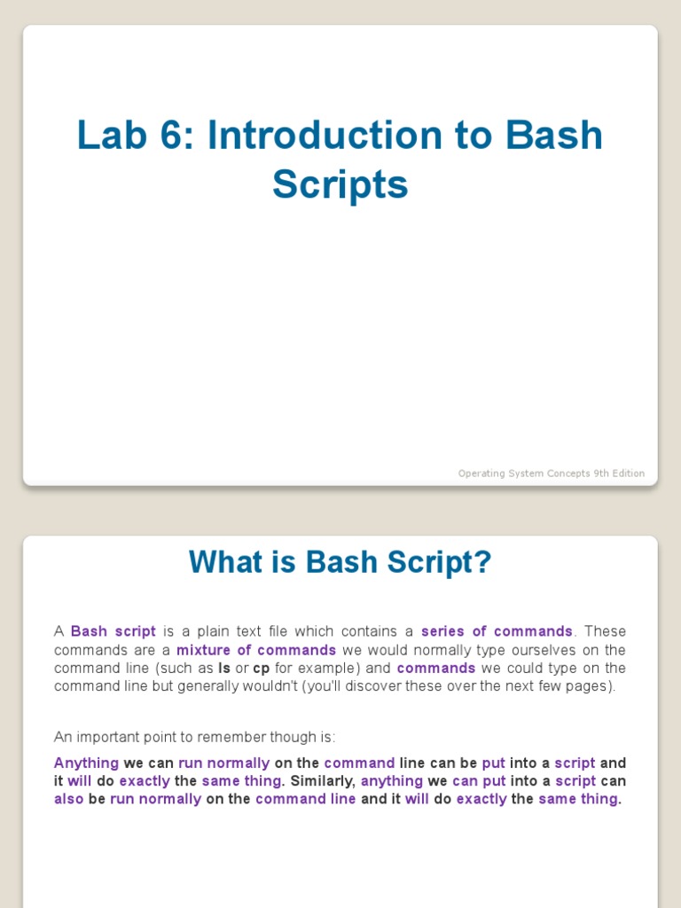 Introduction To Bash Script | PDF | Command Line Interface | Variable (Computer Science)