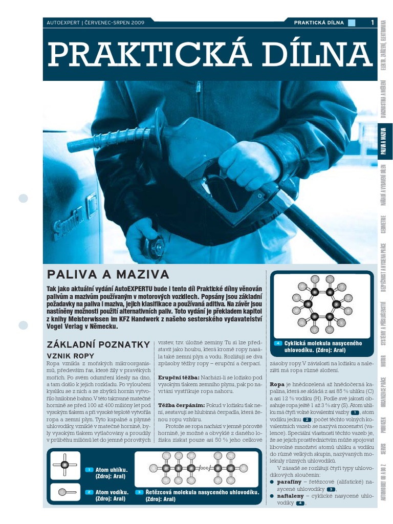Praktická dílna - Paliva a maziva | PDF