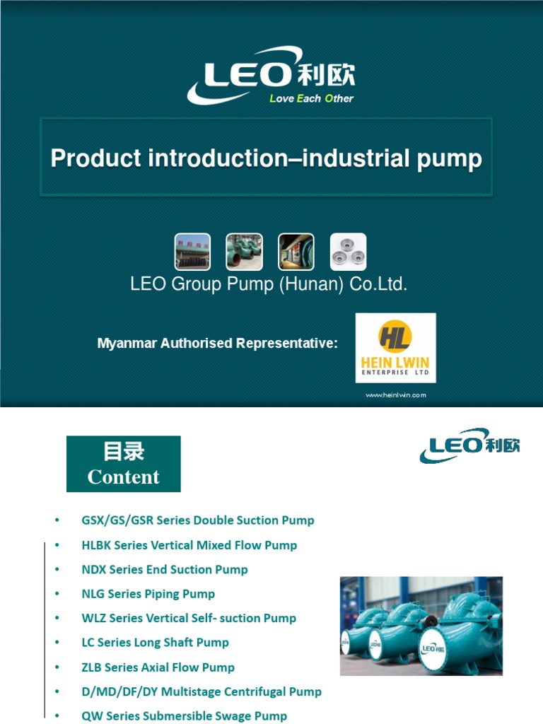 LEO Hunan - Industrial Pump Product List (By HEIN LWIN Enterprise) | PDF | Pump | Power Station