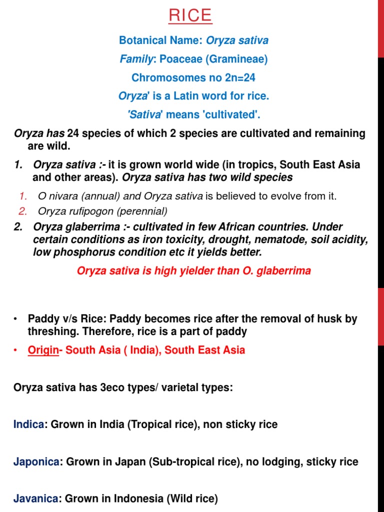 C Sec cp1 | PDF | Rice | Maize