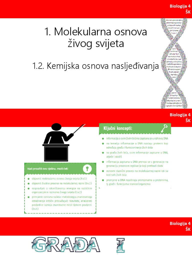 Molekularna Osnova Živog Svijeta - Od Gena Do Proteina | PDF