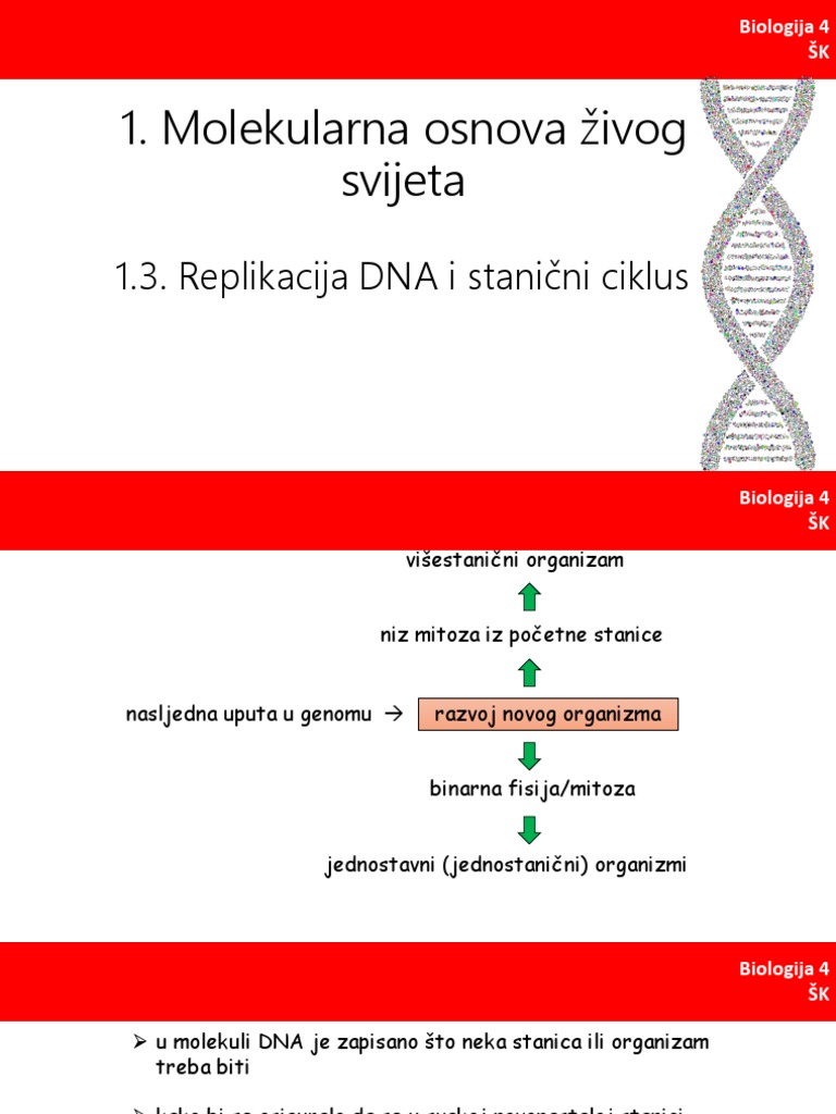 Molekularna osnova živog svijeta-Replikacija DNA i stanični ciklus | PDF