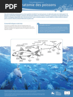 Respiration et branchies des poissons | PDF | Branchie | Physiologie ...