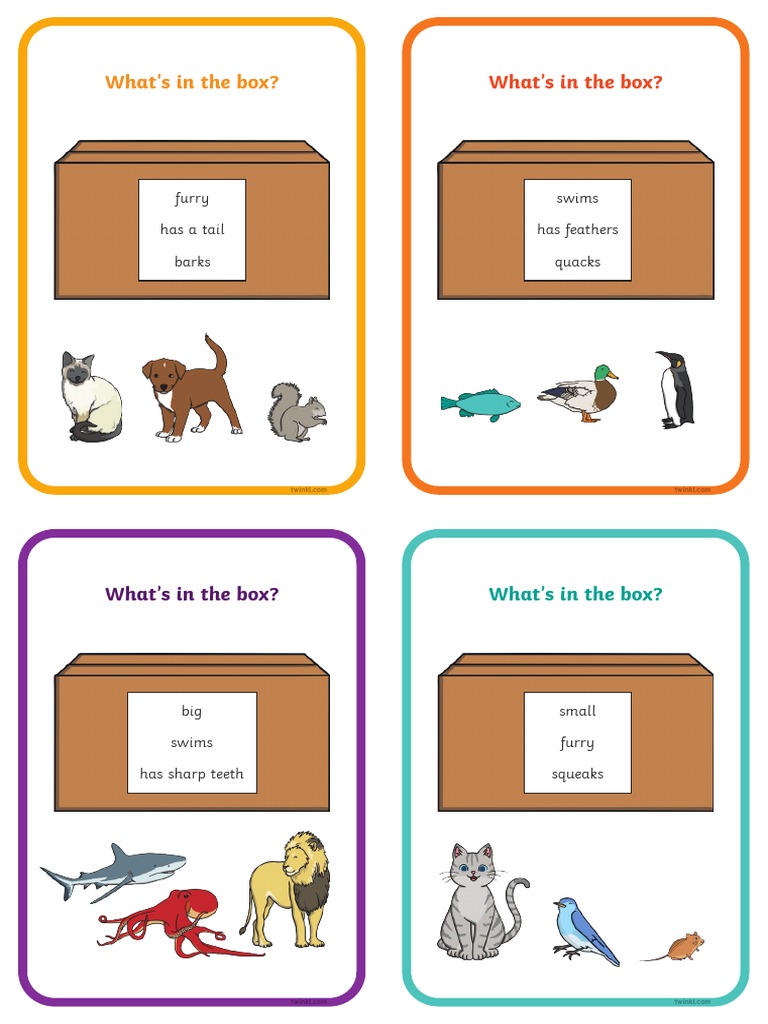 What's in The Box | PDF