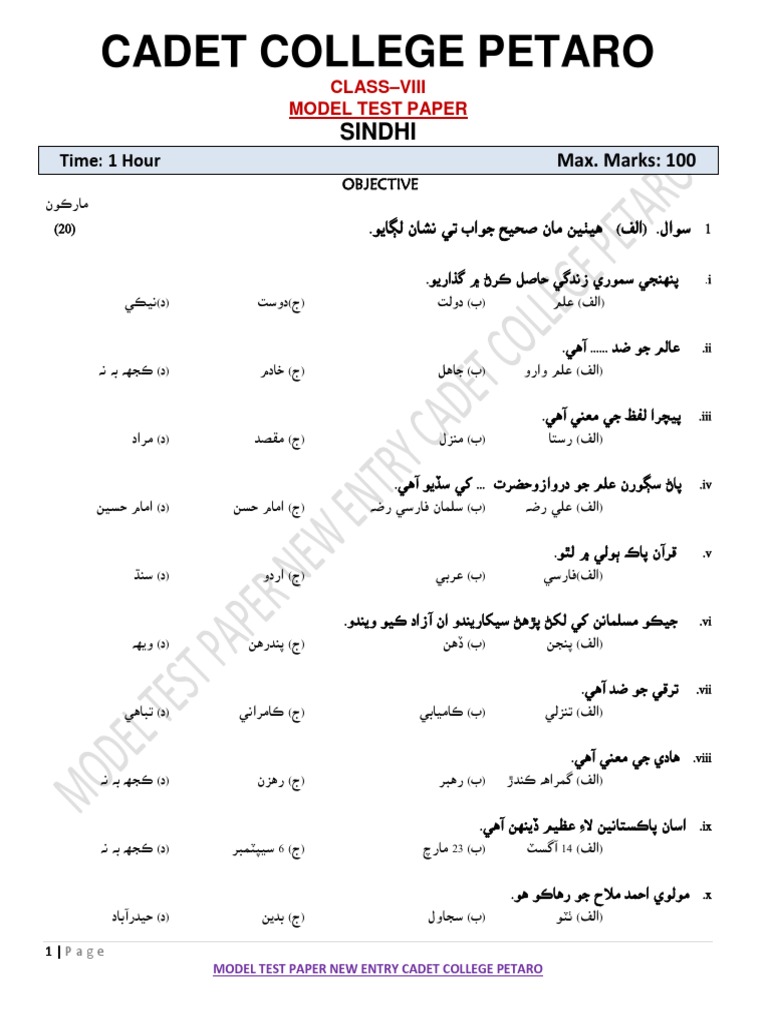 Cadet College Petaro Class VIII Model Test Paper Sindhi | PDF