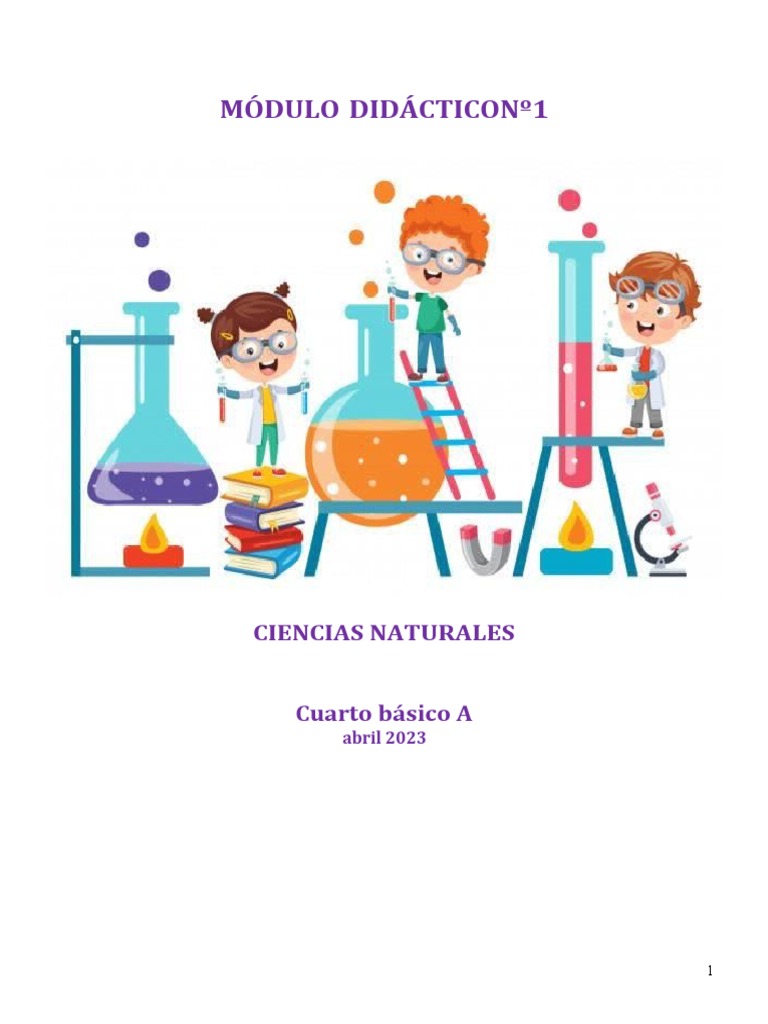 Módulo 1 Ciencias 4° Básicos | PDF | Aprendizaje | Importar