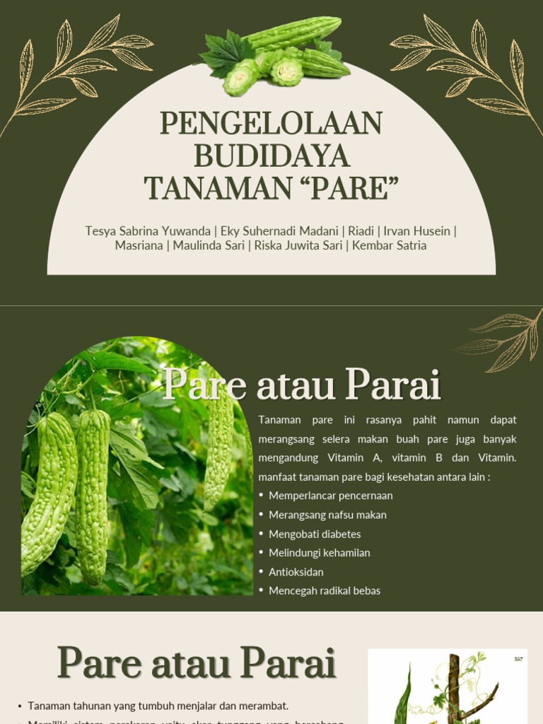 Pengelolaan Budidaya Tanaman "Pare" | PDF