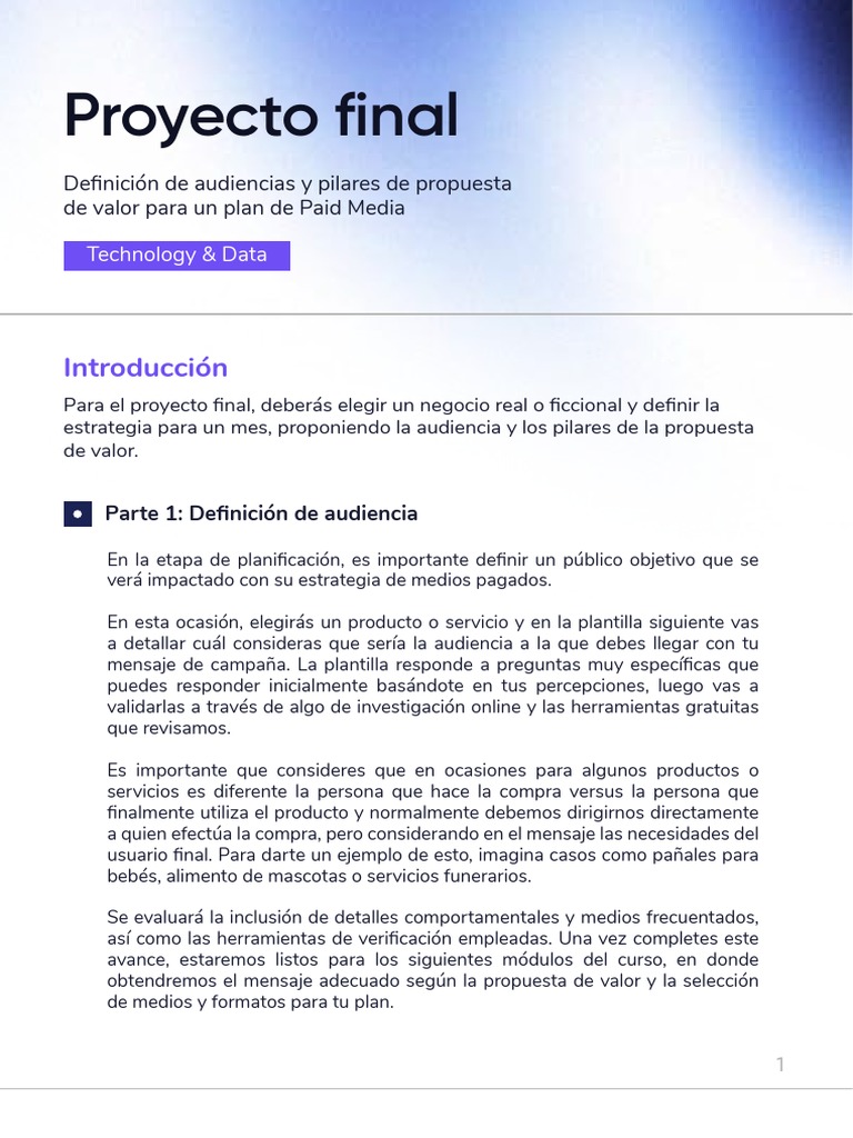 Proyecto Final Ejemplo Paid Media Planning Vanessa Gonzalez | PDF