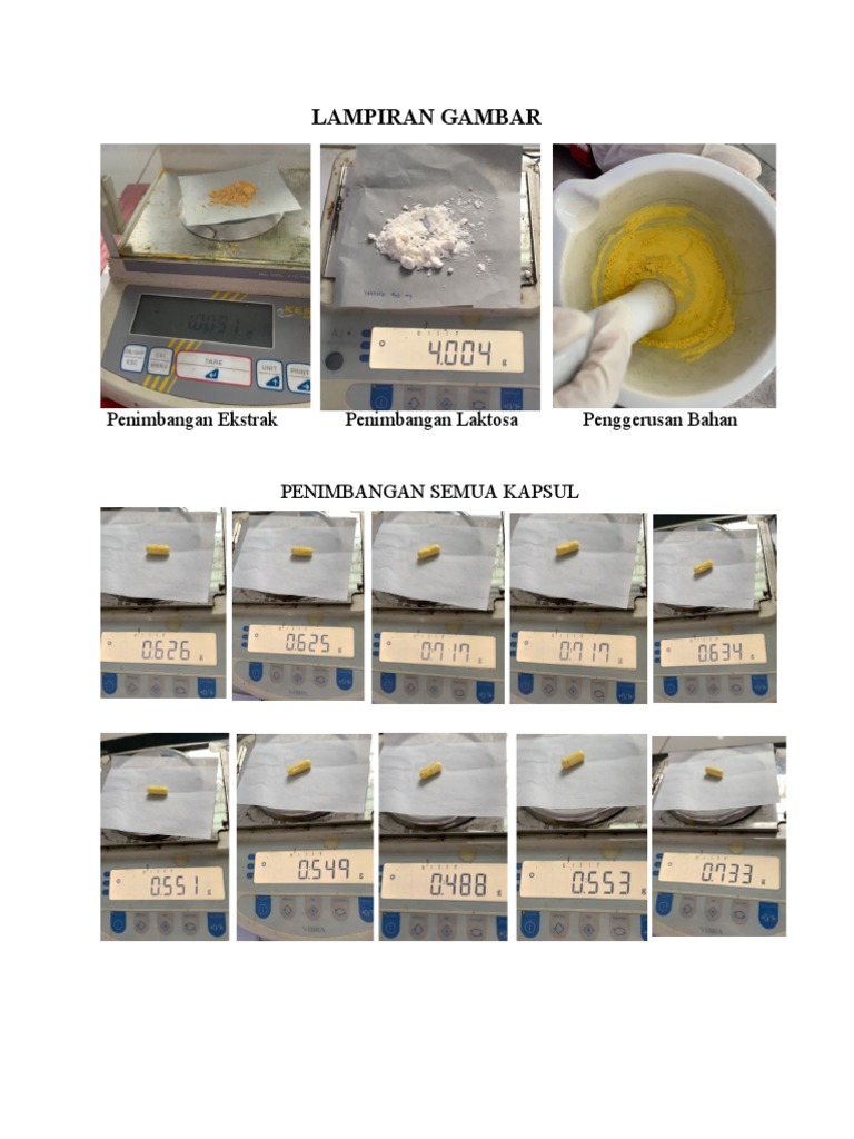 LAMPIRAN GAMBAR Kapsul | PDF