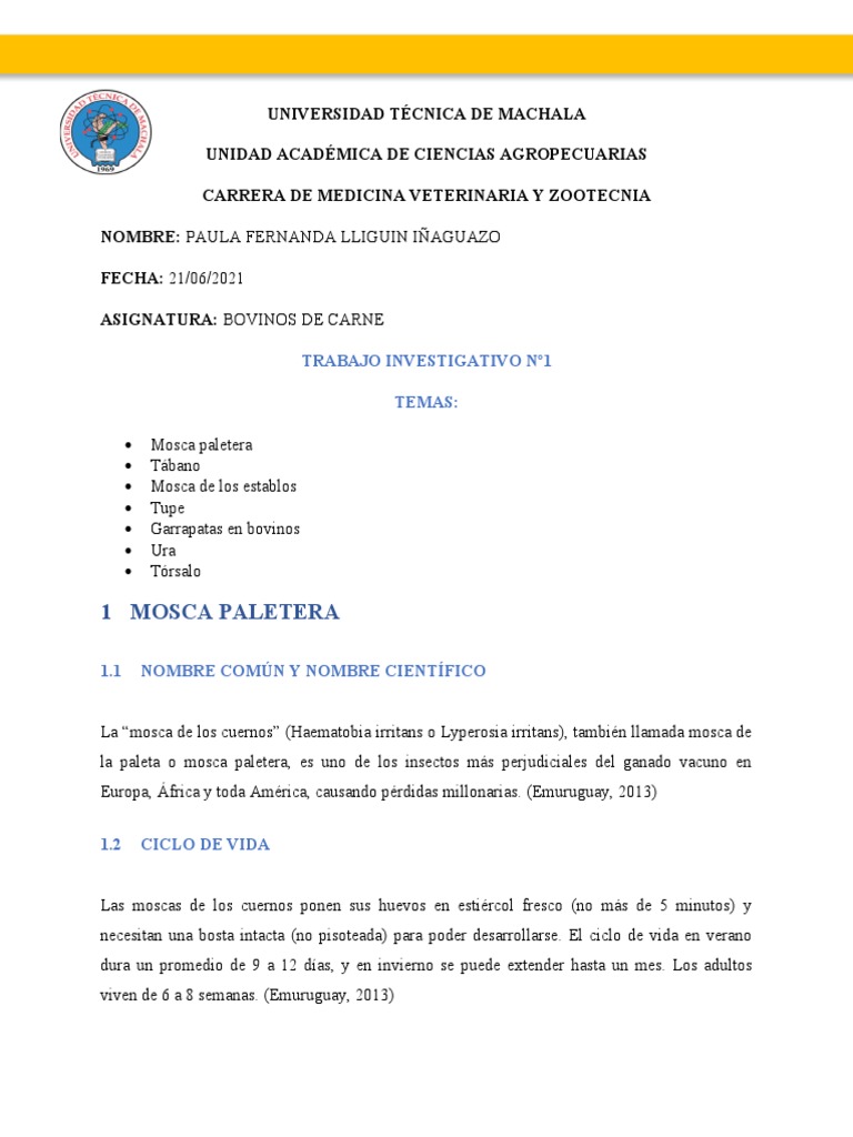 Mosca Paletera | PDF | Mosca | Mosquito