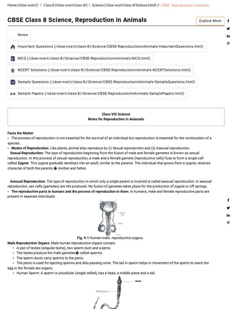 CBSE 8 Science CBSE - Reproduction in Animals, Free Test Papers, Sample ...