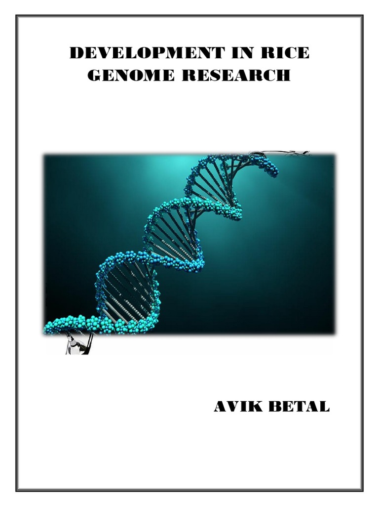 Development in Rice Genome Research | PDF | Rice | Agriculture