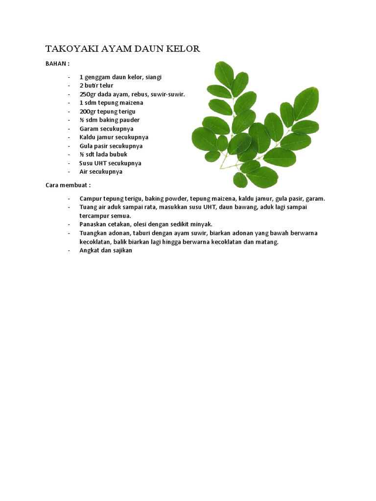 Takoyaki Ayam Daun Kelor | PDF