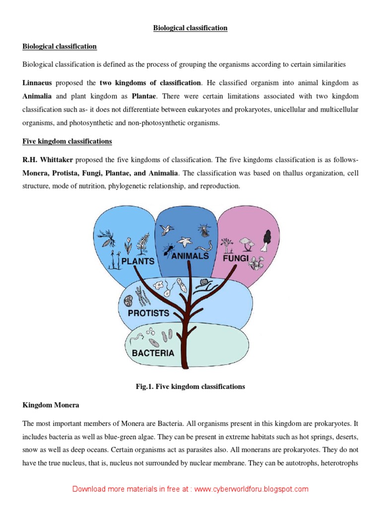 Biological Classification | PDF | Fungus | Spore