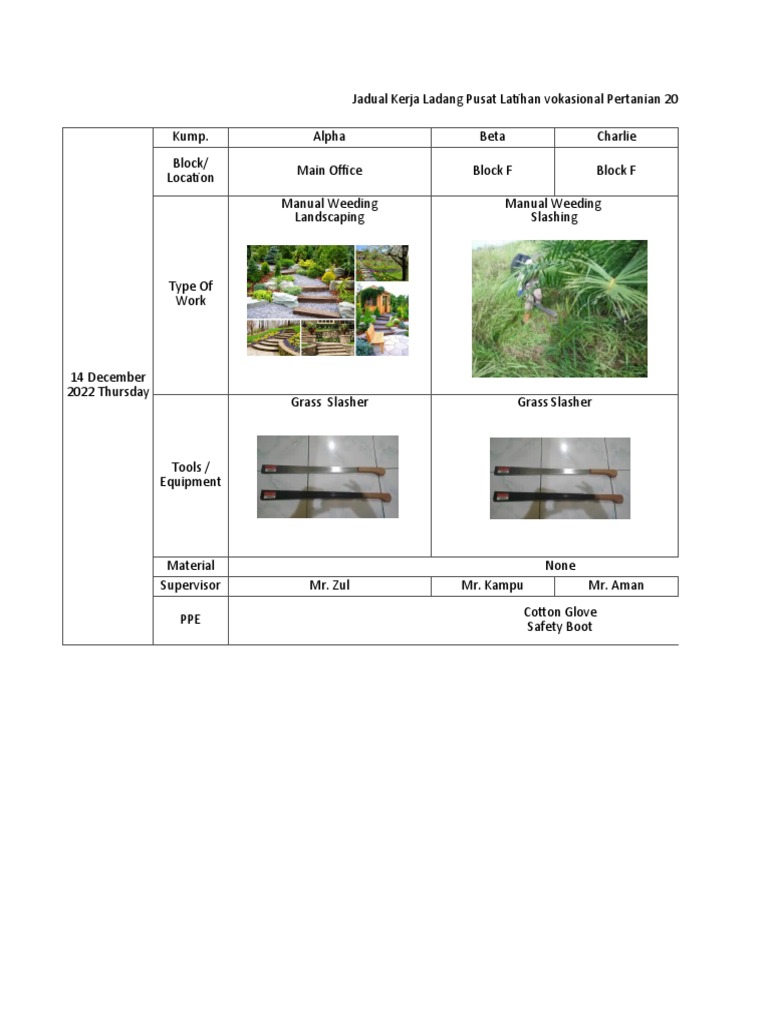 Sample Field Day Schedule | PDF