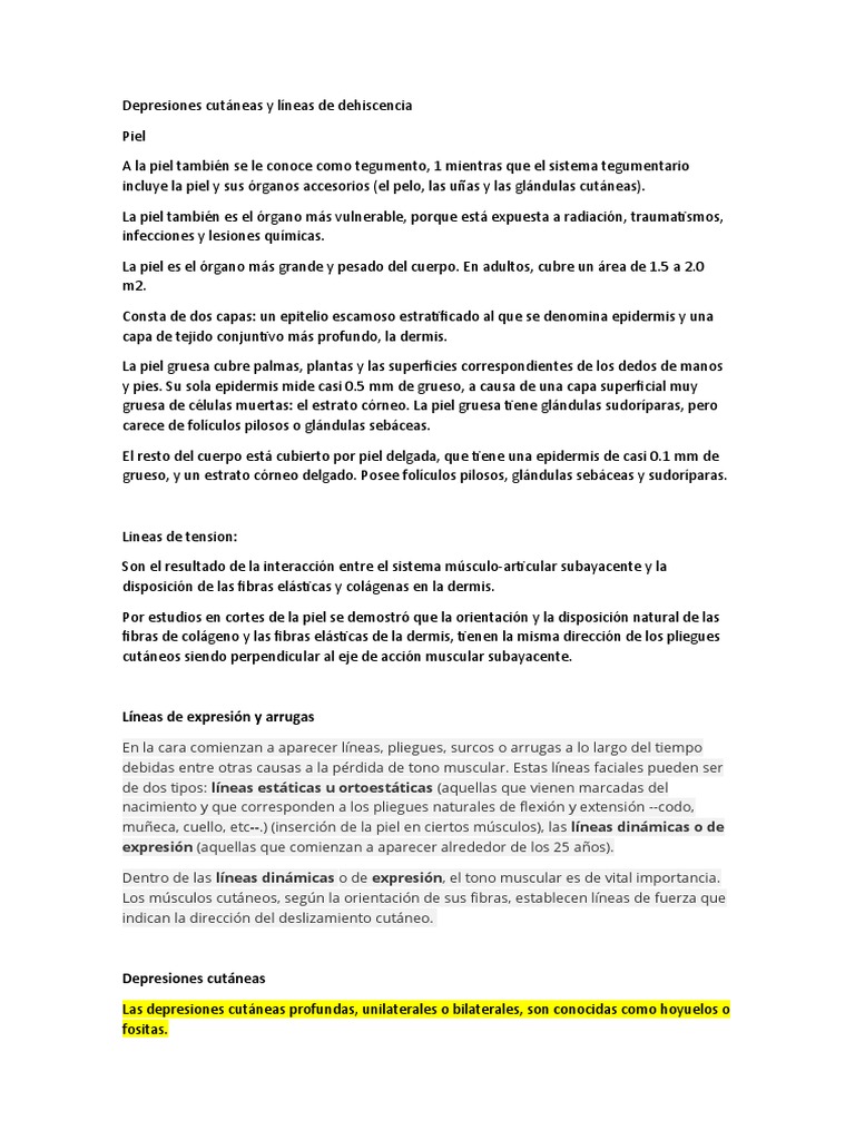 Macro Teoria | PDF | Piel | Glándulas