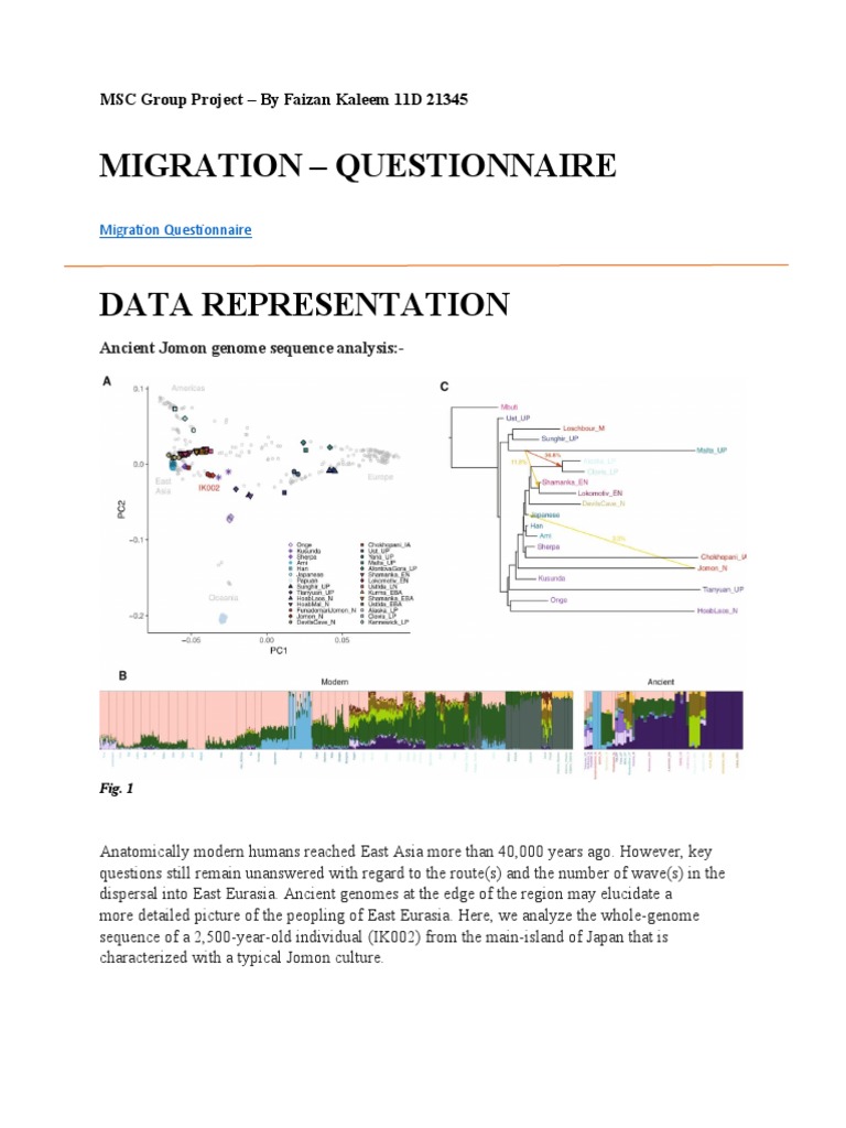 MSC Group Project - Questionnaire and Data Representation2 | PDF